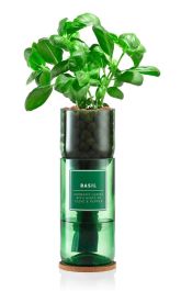 Hydro herb- Basil