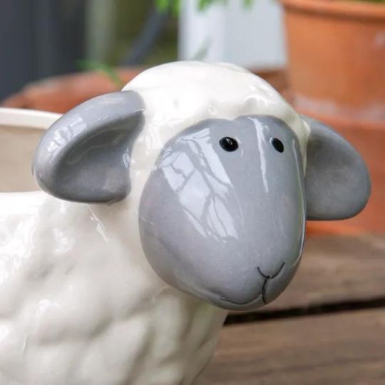five sheep planter